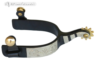 Pinteni (Western) - Tattini Riding Romania