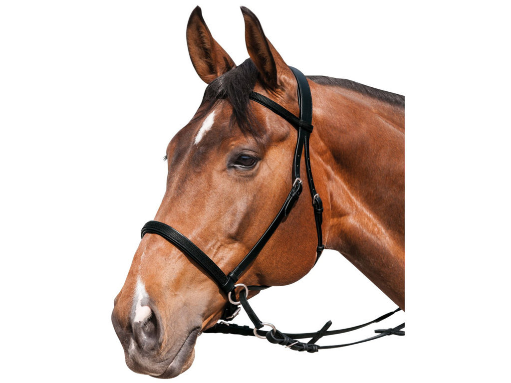 Kantár Zabla Nélkül Horse Friends - KLP Lovasfelszerelés