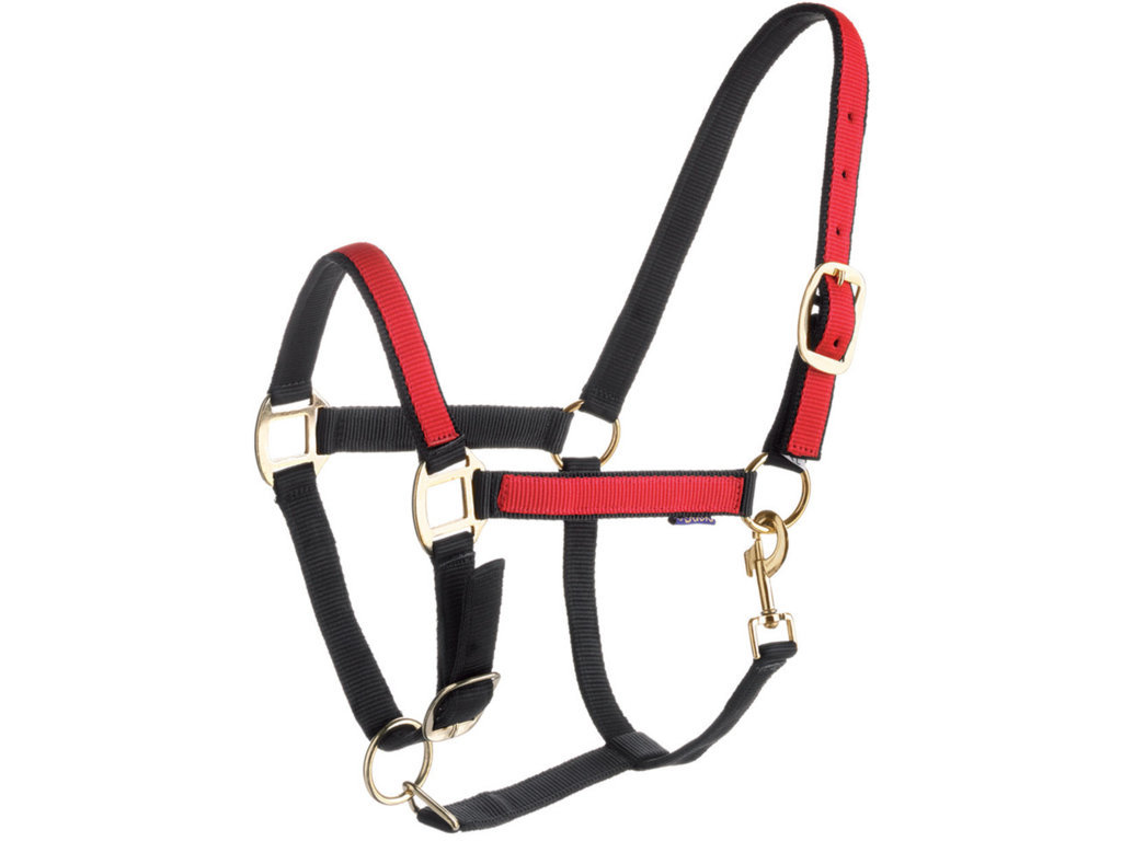 Daslo Roma Halter - Tattini Riding