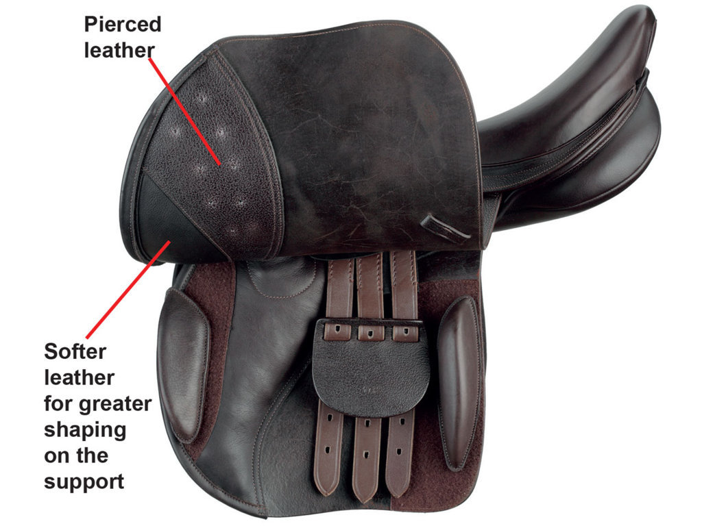 Daslö Gold Jumping Saddle - Tattini Riding