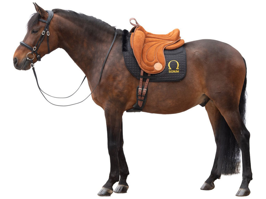 Patrac Idomító Omega Signum - KLP Lovasfelszerelés